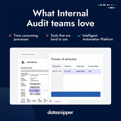 Datasnipper On Linkedin Datasnipper For Internal Audit Intelligent Automation