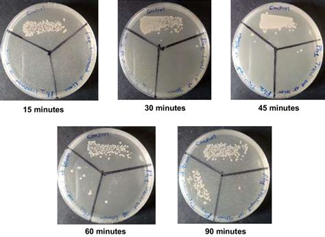 Removal Of Antibiotics Resistant Escherichia Coli Strain E11 Are In Download Scientific