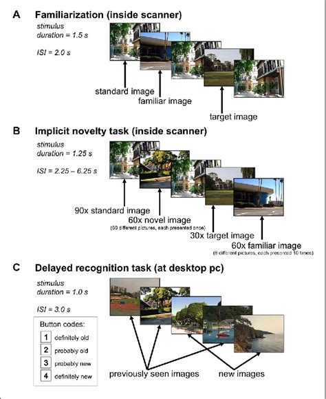 Figure 1 From Fronto Limbic Novelty Processing In Acute Psychosis Disrupted Relationship With