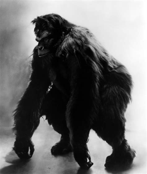 Hollywood Gorilla Men October 2013
