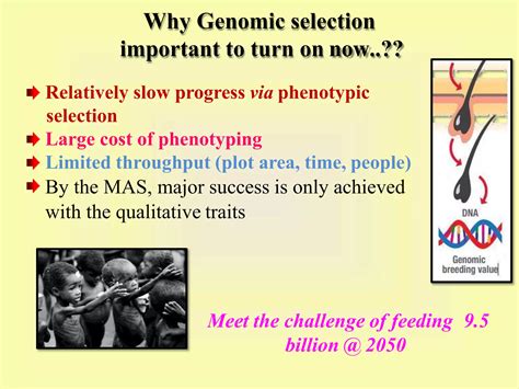 genomic selection in plants pptx genetics science