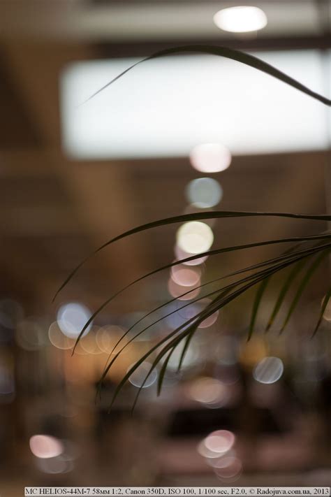 Overview of the MC HELIOS-44M-7 58mm 1: 2. Test Helios-44m-7 58 2.0 | Happy