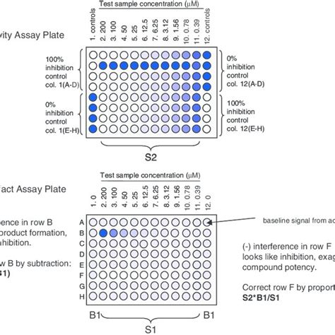An Example Of The Arrangement Of Samples In The Activity Assay And