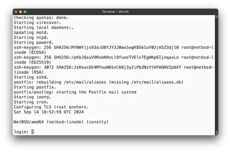 installing netbsd on linode
