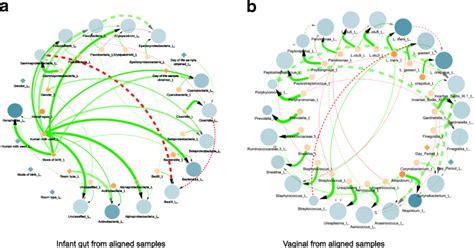 Dynamic Interaction Network Inference From Longitudinal Microbiome Data