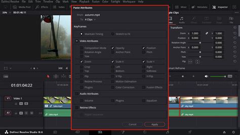 how to copy effects to another clip in davinci resolve