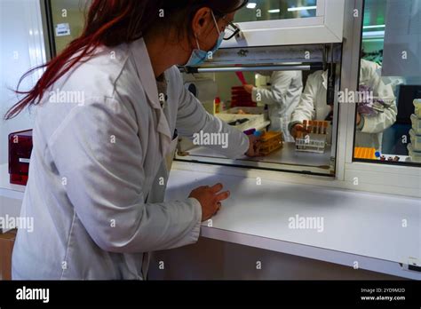 Medical Analysis Laboratory Biomedical Analysis Technicians Medical Analysis Laboratory 016837