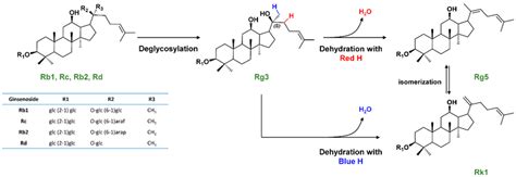 Ginsenoside Conversion Pathway Among Rb Rc Rb Rd Rg Rg And Rk Download Scientific