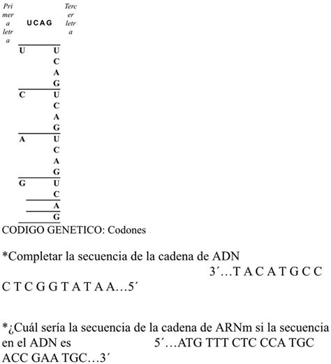 solved quien me puede ayudar pri mer terc ucag letr letr u c c c