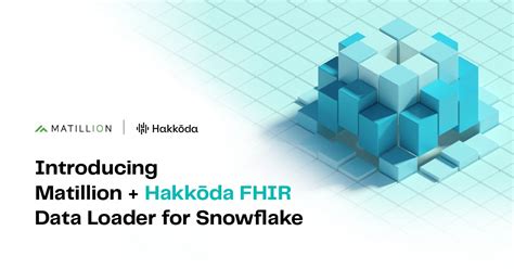 Fhir Matillion Hakkoda Snowflake Healthcare Hl7 Yaser Najafi