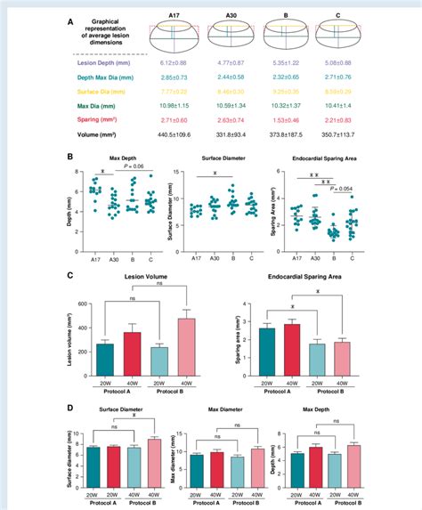 A Graphical Representation To Scale Of Lesions Created With Protocols Download Scientific