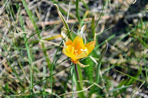 Lucky Time Slots Lucky Time Slots Apk Mod 06122024