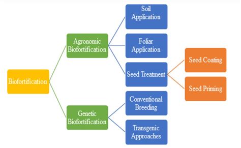 Agronomic Techniques For Mitigating Zinc Deficiency Jeas