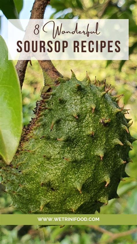 Fresh Soursop Juice Guanabana Fruit Masala Herb Artofit