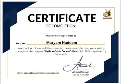 Python Coding Professionaldevelopment Learning Certification