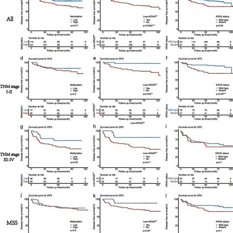 Schematic Diagram Of The Differential Methylation Region In 48 Pairs Of Download Scientific