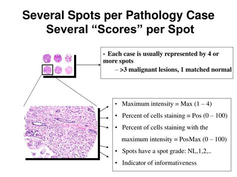 Ppt Tree Based Methods For Analyzing Tissue Microarray Data