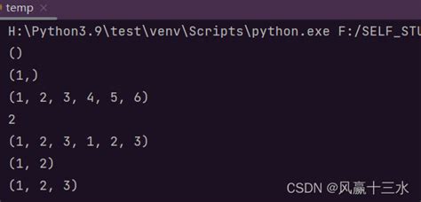 10 元组tuple类型详解 Csdn博客