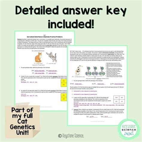 Sex Linked Cat Genetic Inheritance Patterns Worksheet Biology Steels Ngss