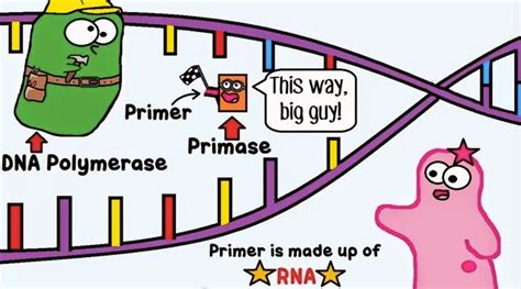 My Biology Blog February 2015