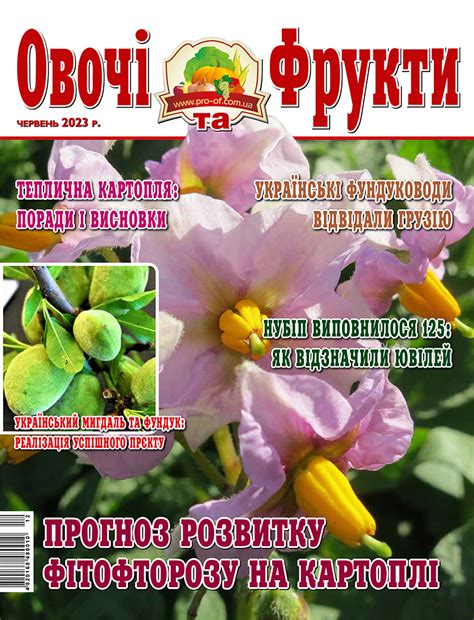 Журнал №06 2023 року Овощи и Фрукты журнал