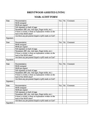 Coding Audit Worksheet