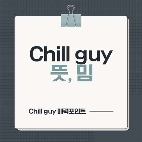 Chill Guy 뜻 밈 밈코인 Chillguy