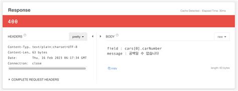 Spring Boot Custom Validation 2