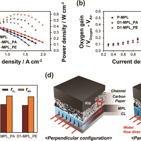 Cell Performance And Electrochemical Analysis Of D1 Mpl The Ditch Download Scientific Diagram