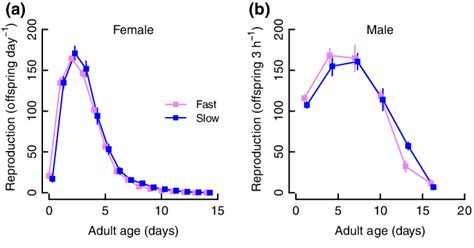 Reproduction Of Females A And Males B From The Development Selected Download Scientific
