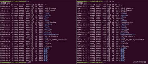 Linux Ls 命令学习和简单使用ls T Csdn博客