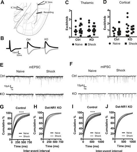 figures and data in a genetic link between discriminative fear coding