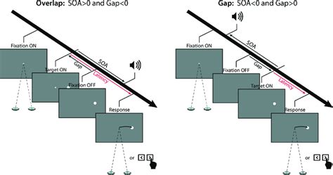 Time Course Of A Trial Illustrating The Overlap Left And Gap Right Download Scientific