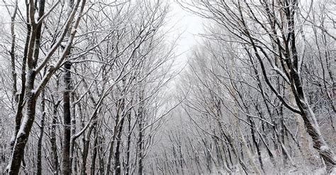 겨울로 가는 길