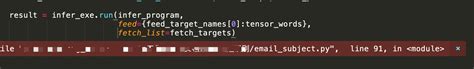 使用 load inference model 加载训练好的模型用于预测时报错 · issue 21411