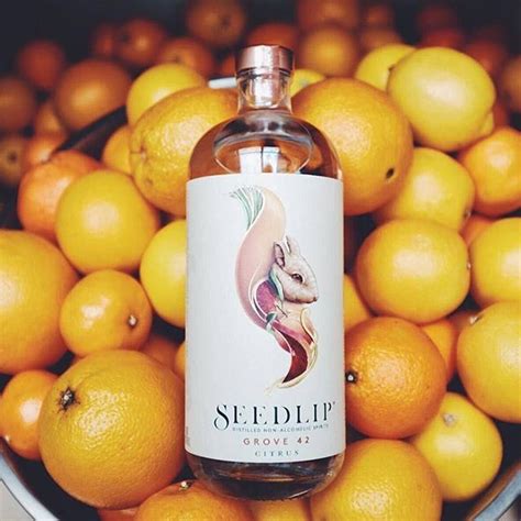 Seedlip Grove 42 Non Alcoholic Spirit