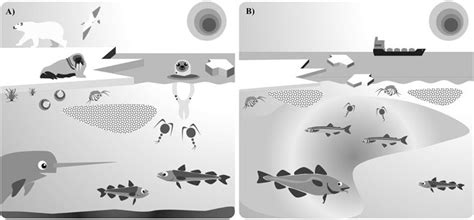 1 Schematic Representation Of A Multi Year Sea Ice Arctic Ecosystems