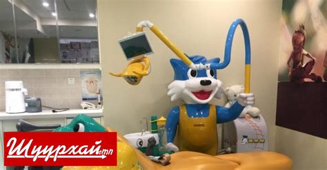 “Эрүүл шүд Эрүүл хүүхэд “ хөтөлбөр хэрэгжиж эхэллээ