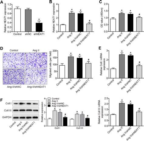 Lncrna Nuclear Enriched Abundant Transcript 1 Regulates Atrial Fibrosis