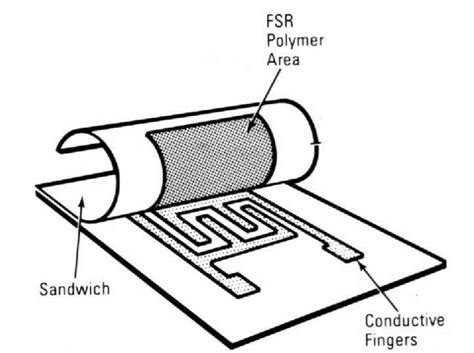 Detail Of An Fsr The Figure Shows The Parts Of An Fsr Download Scientific Diagram