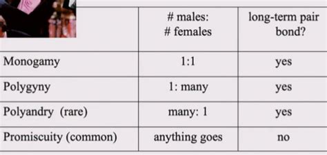 ESP Exam And Review Flashcards Quizlet