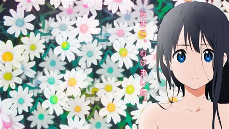 Tamako Love Story Anime Hd Wallpapers Wallpapersafari
