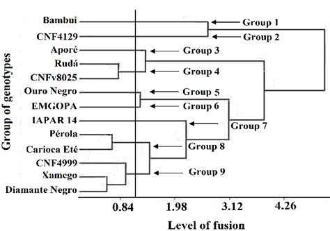 Genotype Classification Dendrogram Using Wards Method In Environments