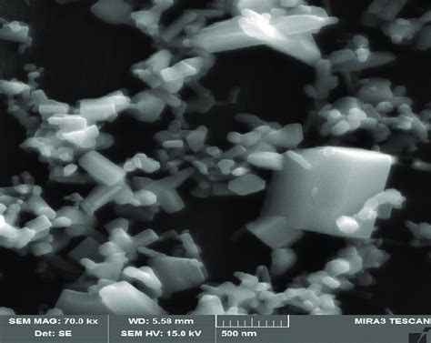 Sem Micrograph Of Biogenic Zno Nanoparticle Synthesized Download Scientific Diagram