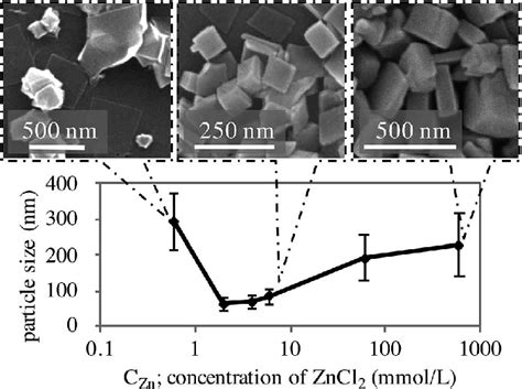 Influence Of Concentration On The Particle Size And Sem Figure Of