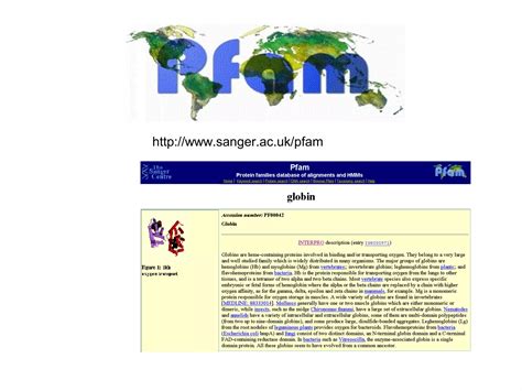 Bioinformatics Lecture Xxi Ppt