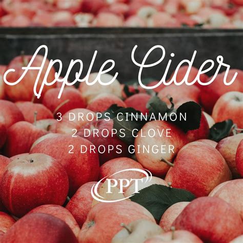 Delicious Apple Cider Diffuser Blend