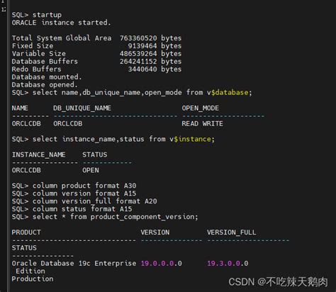 Oracle19c单实例补丁升级和回退19c Patch补丁 Csdn博客