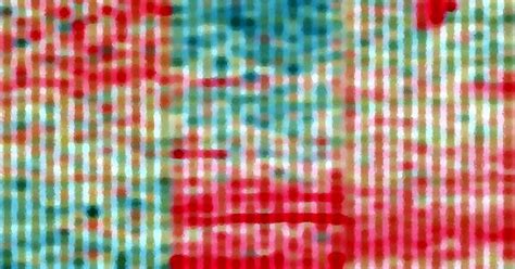 The Data Series Album On Imgur