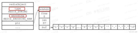 Redis底层数据结构 Stringredis String底层数据结构 Csdn博客